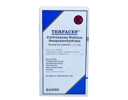 TERFACEF INJEKSI (Box/1 Vial) | Tabi Anugerah Pharmindo Jayapura